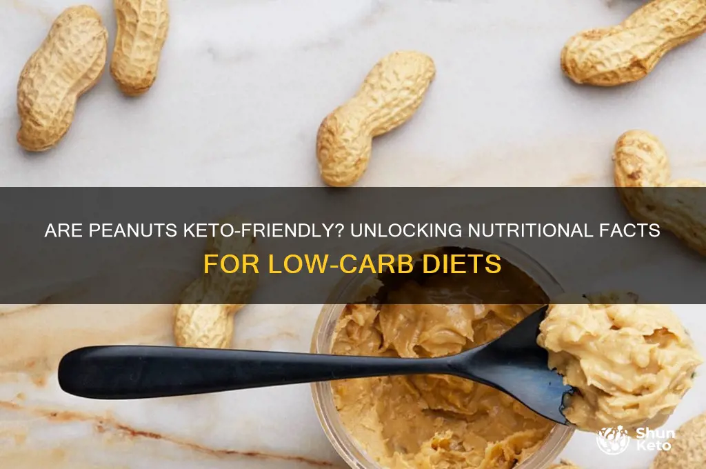Are Peanuts Keto-Friendly? Unlocking Nutritional Facts For Low-Carb ...