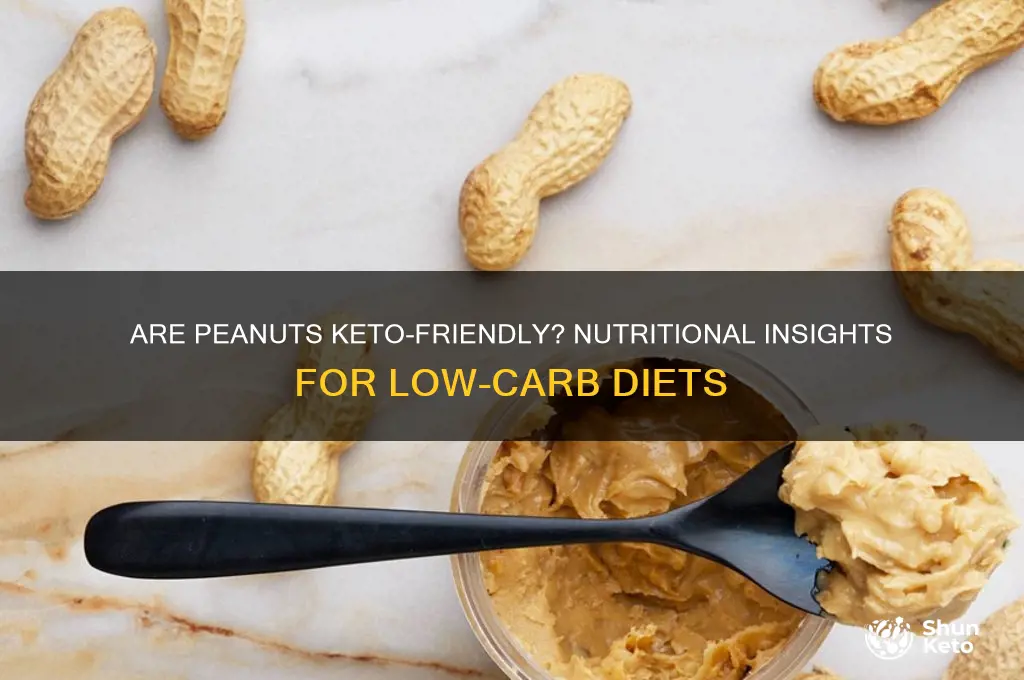 Are Peanuts Keto-Friendly? Nutritional Insights For Low-Carb Diets ...