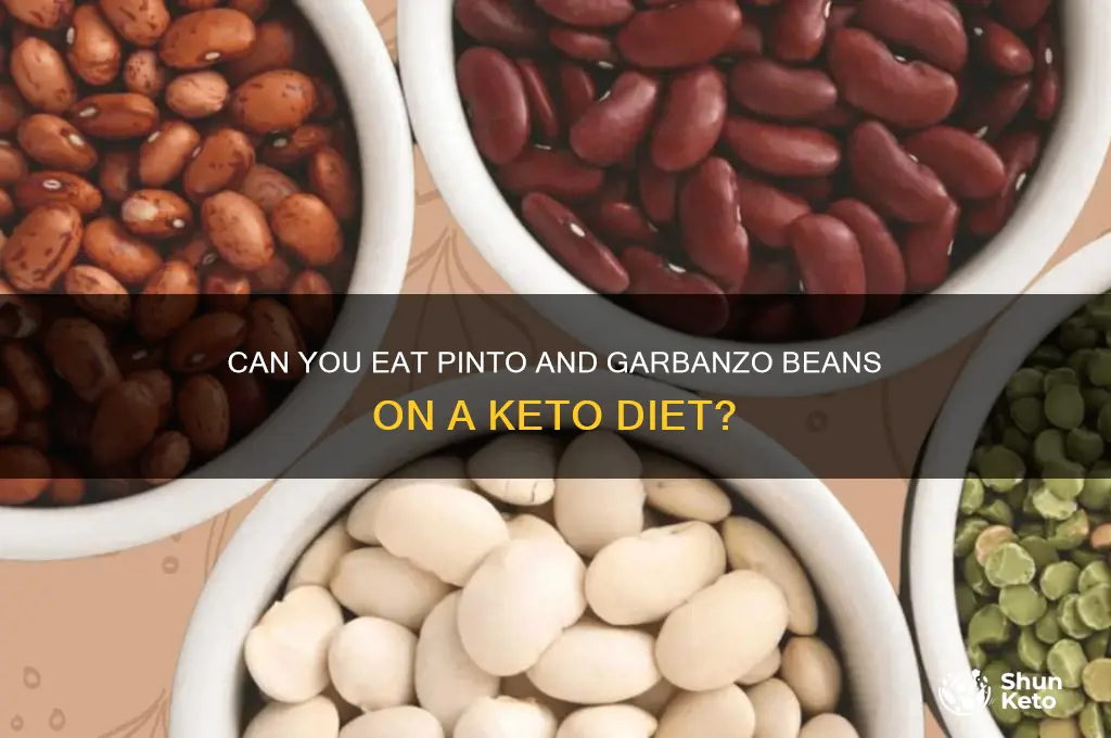 Can You Eat Pinto And Garbanzo Beans On A Keto Diet? | ShunKeto
