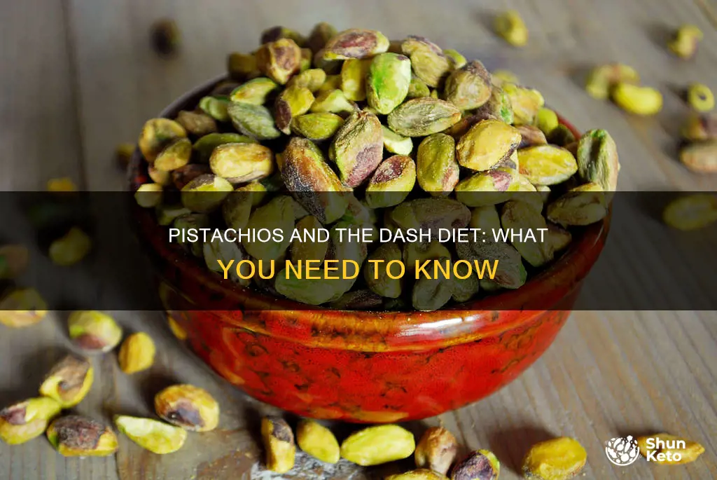 Pistachios And The Dash Diet: What You Need To Know | ShunKeto
