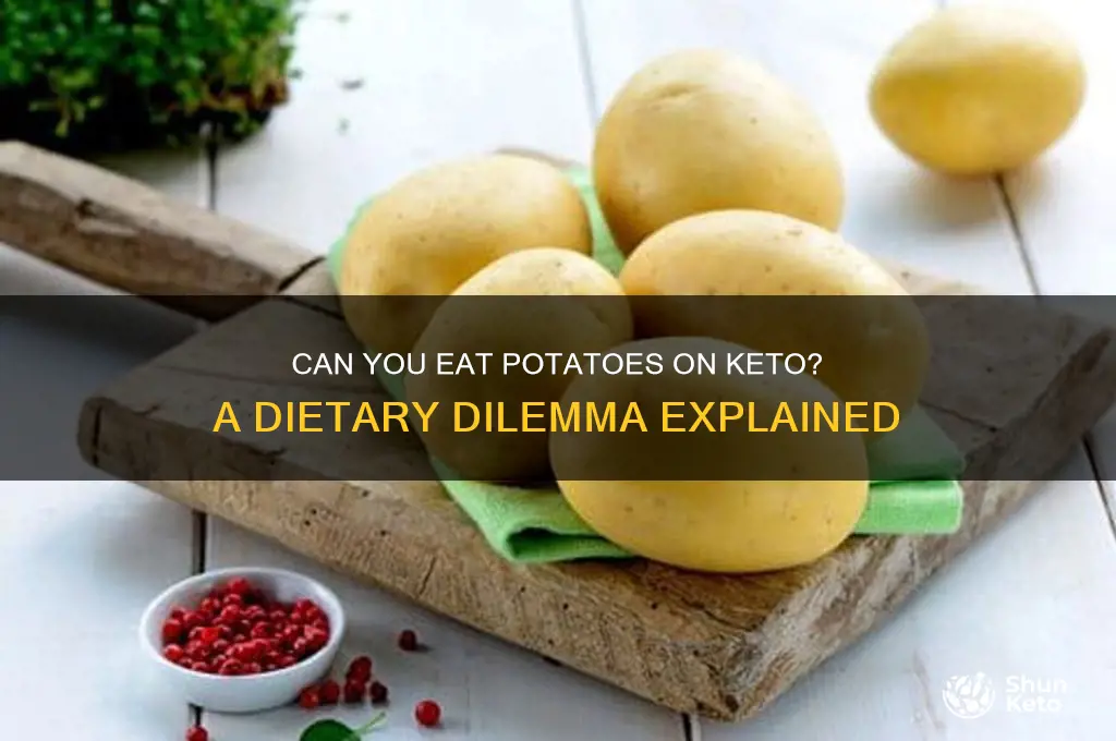 Can You Eat Potatoes On Keto? A Dietary Dilemma Explained | ShunKeto
