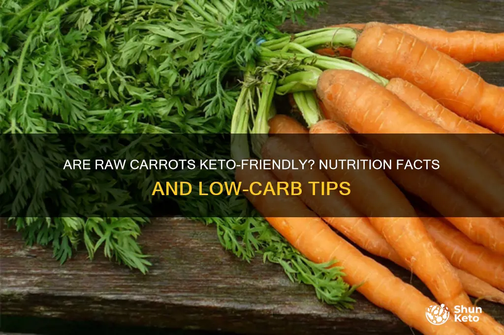 Are Raw Carrots Keto-Friendly? Nutrition Facts And Low-Carb Tips | ShunKeto