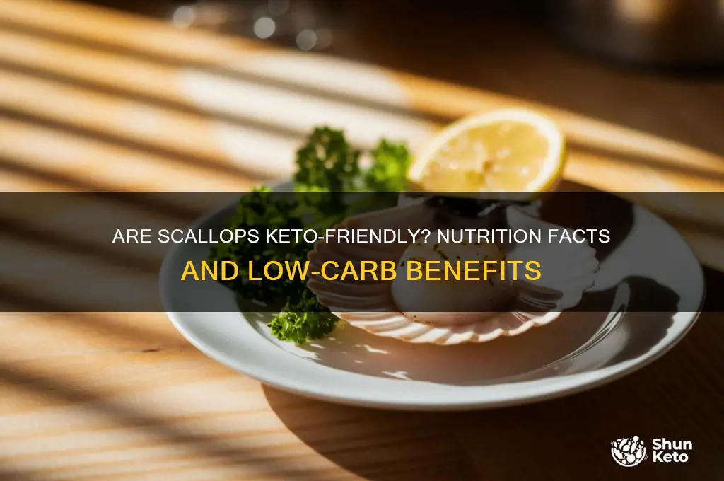 Are Scallops Keto-Friendly? Nutrition Facts And Low-Carb Benefits ...