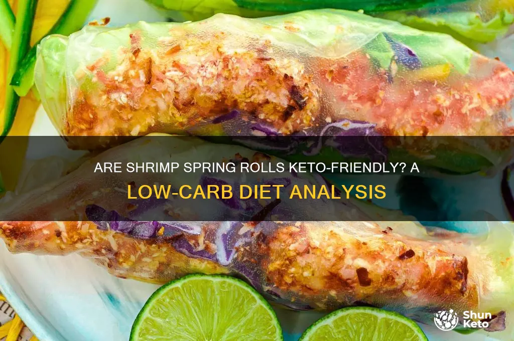 Are Shrimp Spring Rolls Keto-Friendly? A Low-Carb Diet Analysis | ShunKeto