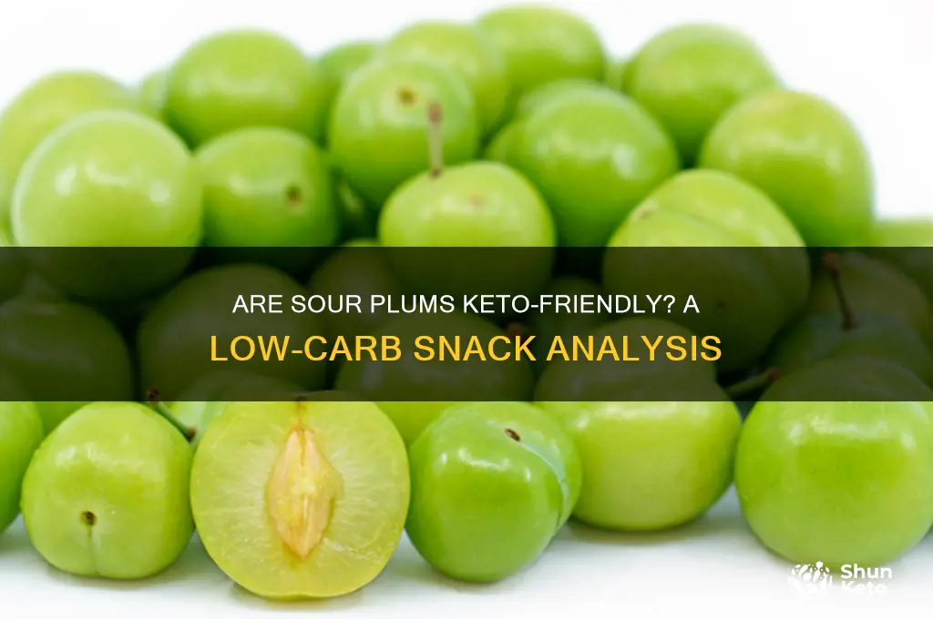 Are Sour Plums Keto-Friendly? A Low-Carb Snack Analysis | ShunKeto