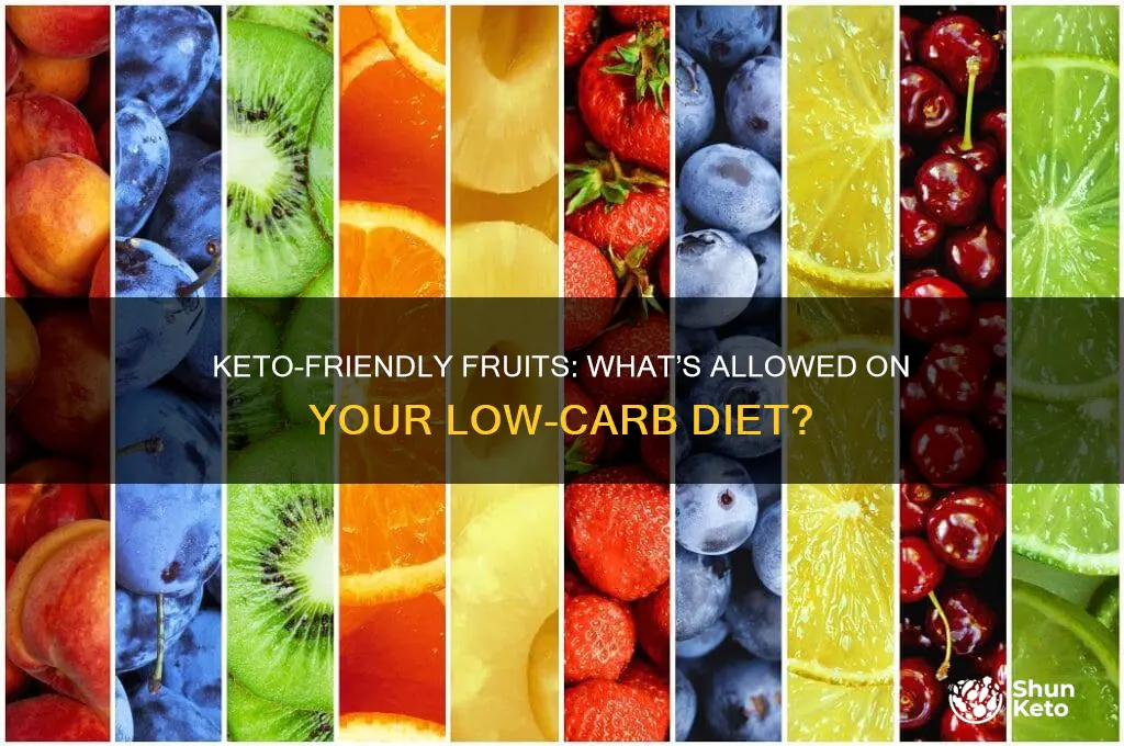 Keto-Friendly Fruits: What’S Allowed On Your Low-Carb Diet? | ShunKeto