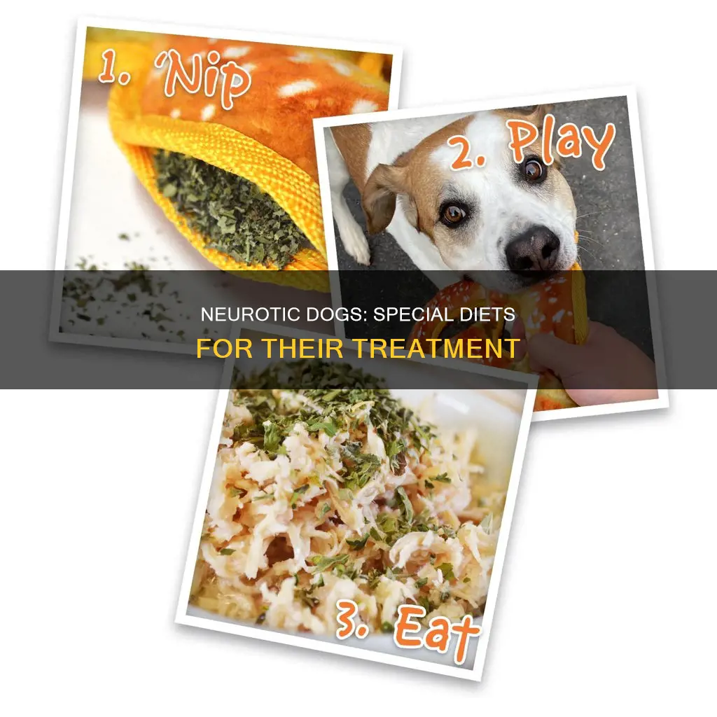 Neurotic Dogs: Special Diets For Their Treatment | ShunKeto
