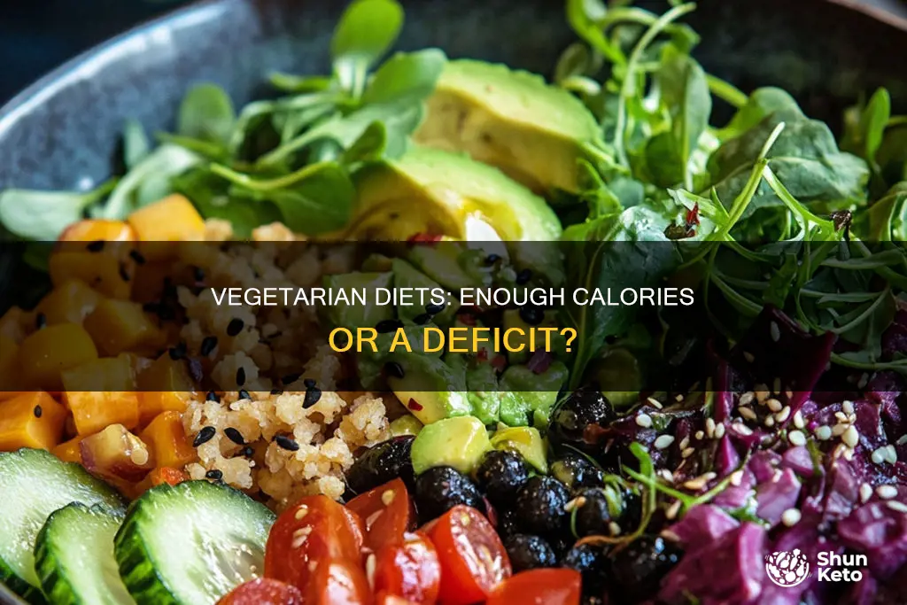 Vegetarian Diets: Enough Calories Or A Deficit? | ShunKeto