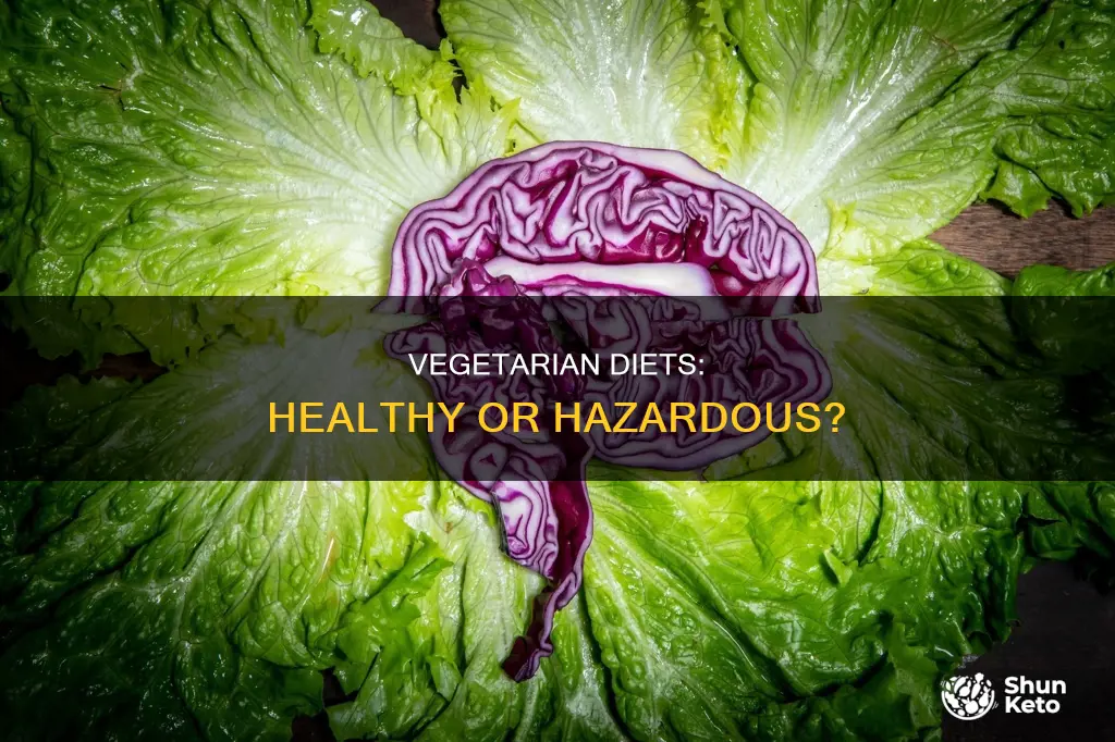 Vegetarian Diets: Healthy Or Hazardous? | ShunKeto