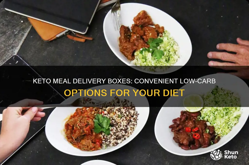 Keto Meal Delivery Boxes: Convenient Low-Carb Options For Your Diet ...