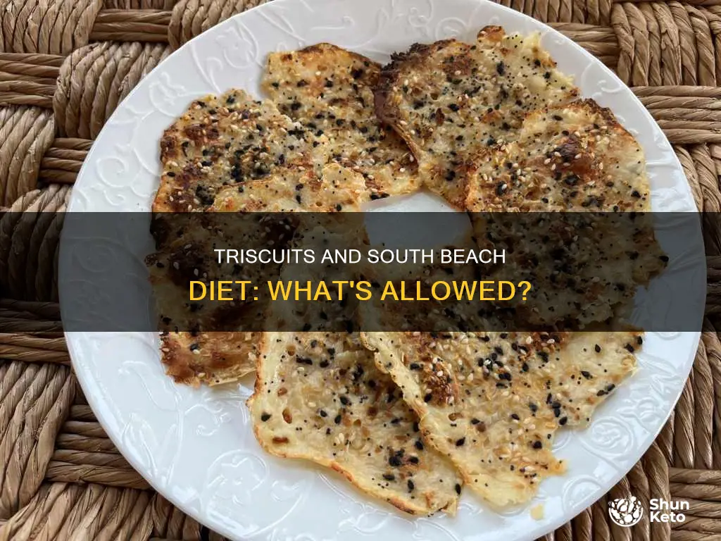 Triscuits And South Beach Diet: What's Allowed? | ShunKeto
