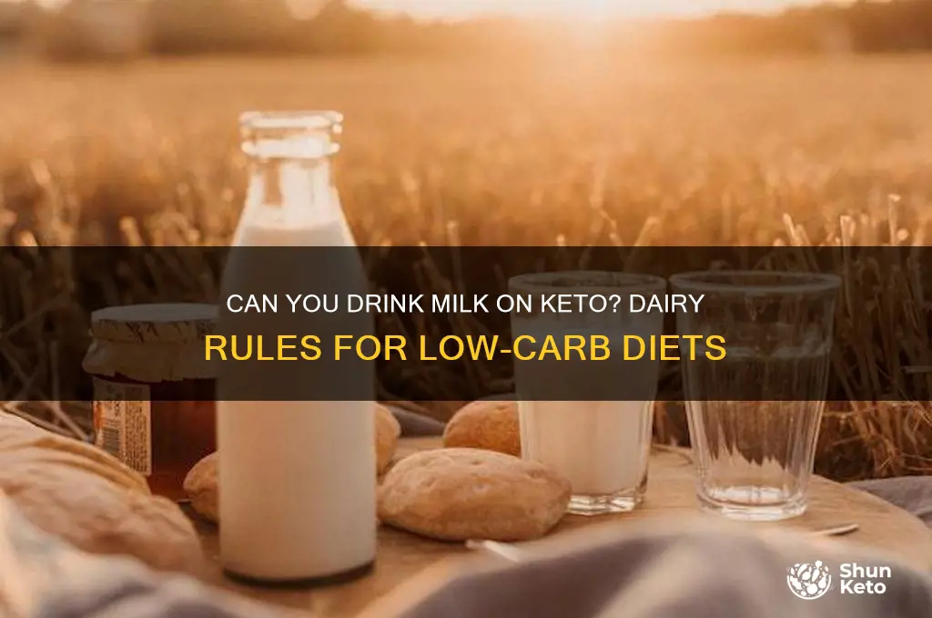 Can You Drink Milk On Keto? Dairy Rules For Low-Carb Diets | ShunKeto