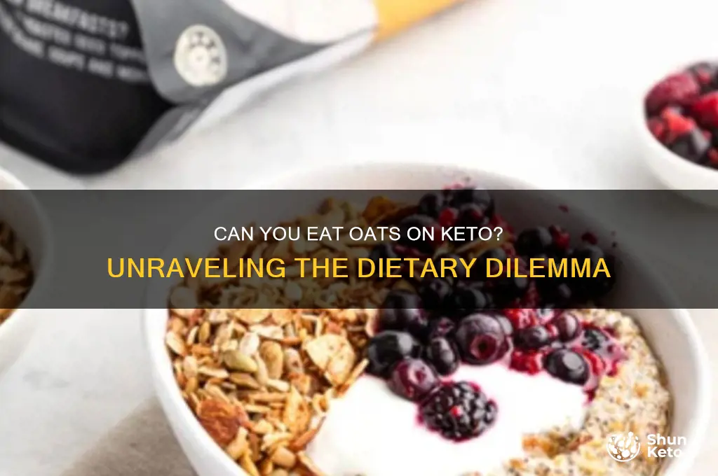 Can You Eat Oats On Keto? Unraveling The Dietary Dilemma | ShunKeto