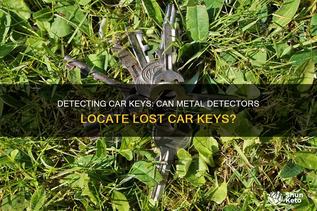 Detecting Car Keys: Can Metal Detectors Locate Lost Car Keys? | ShunKeto