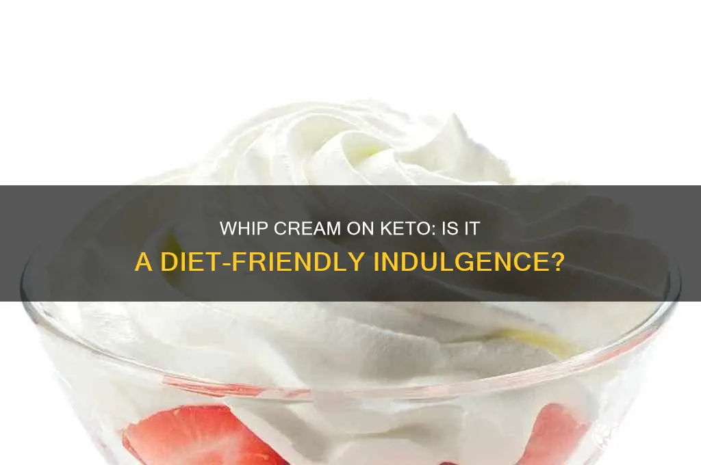 Whip Cream On Keto: Is It A Diet-Friendly Indulgence? | ShunKeto