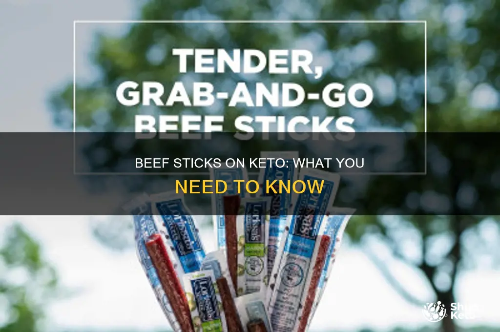 Beef Sticks On Keto: What You Need To Know | ShunKeto