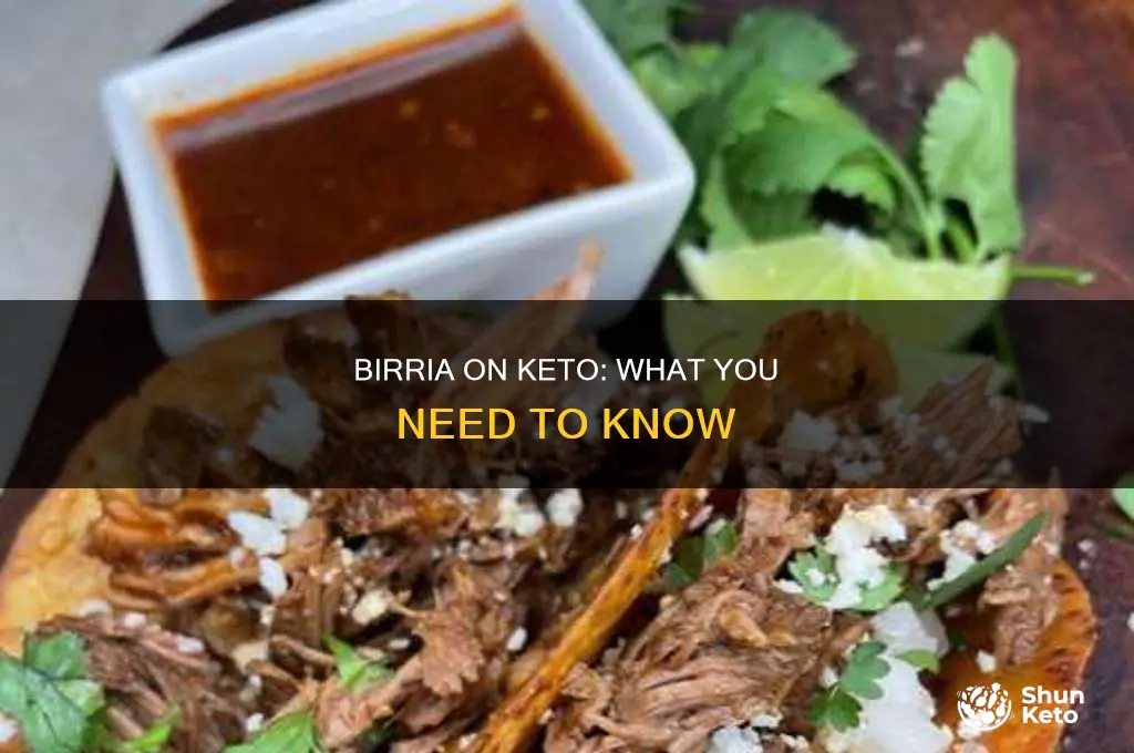 Birria On Keto: What You Need To Know | ShunKeto