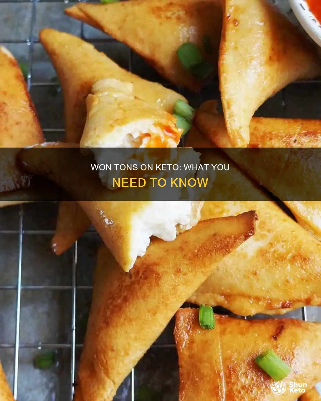 Won Tons On Keto: What You Need To Know | ShunKeto