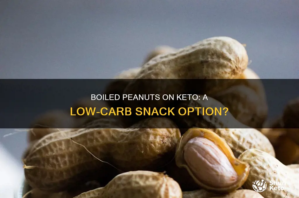 Boiled Peanuts On Keto: A Low-Carb Snack Option? | ShunKeto