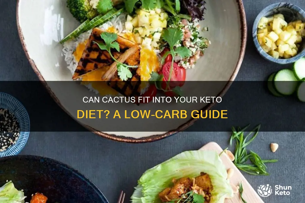 Can Cactus Fit Into Your Keto Diet? A Low-Carb Guide | ShunKeto