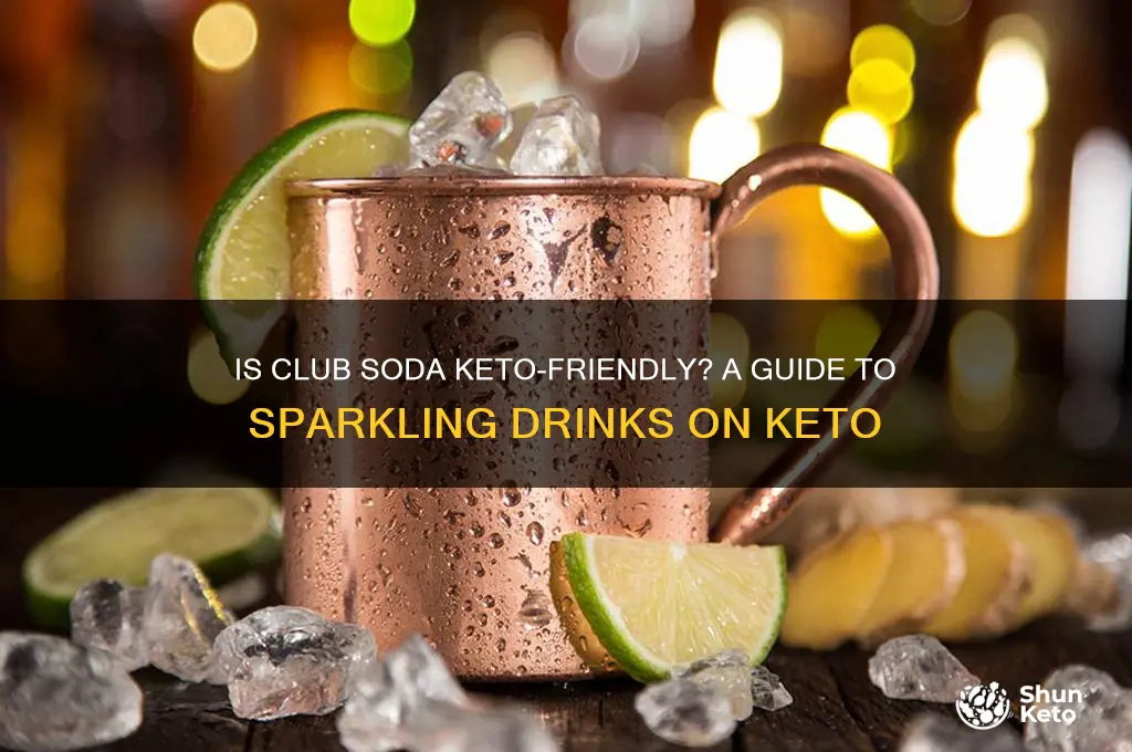 Is Club Soda Keto-Friendly? A Guide To Sparkling Drinks On Keto | ShunKeto