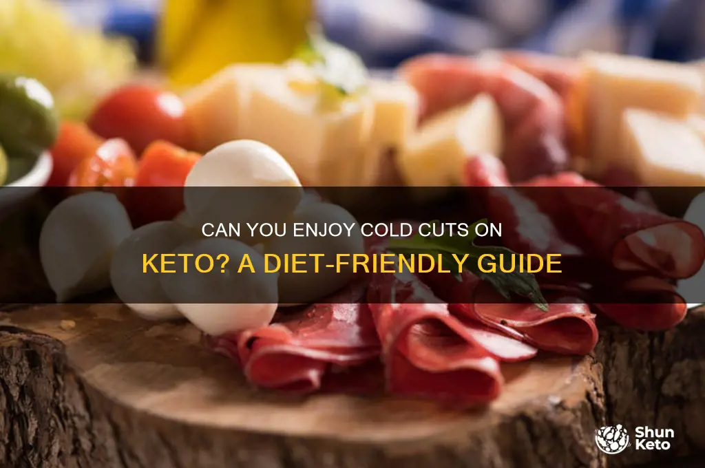 Can You Enjoy Cold Cuts On Keto? A Diet-Friendly Guide | ShunKeto