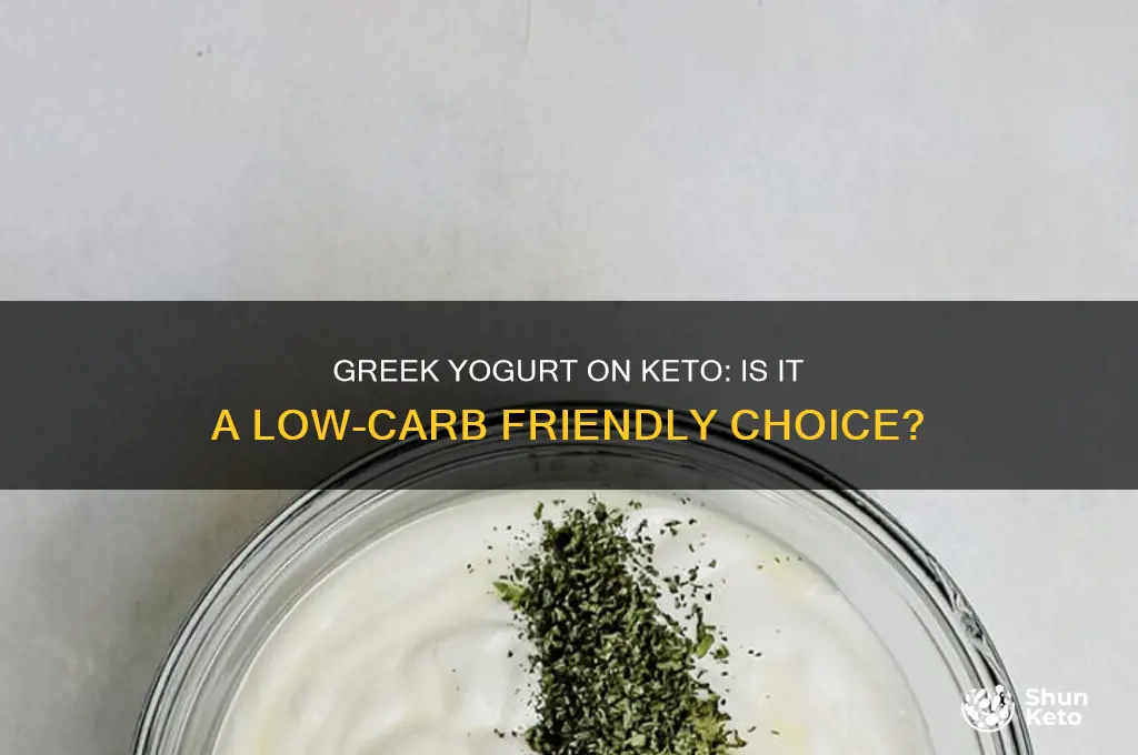 Greek Yogurt On Keto: Is It A Low-Carb Friendly Choice? | ShunKeto