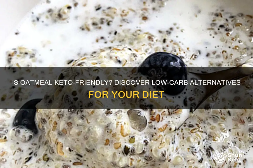 Is Oatmeal Keto-Friendly? Discover Low-Carb Alternatives For Your Diet ...