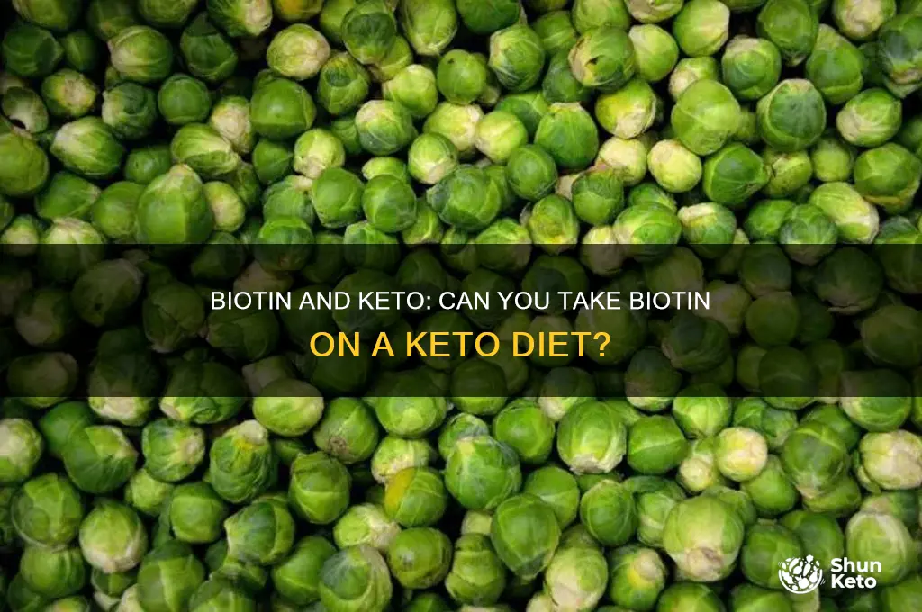 Biotin And Keto: Can You Take Biotin On A Keto Diet? | ShunKeto