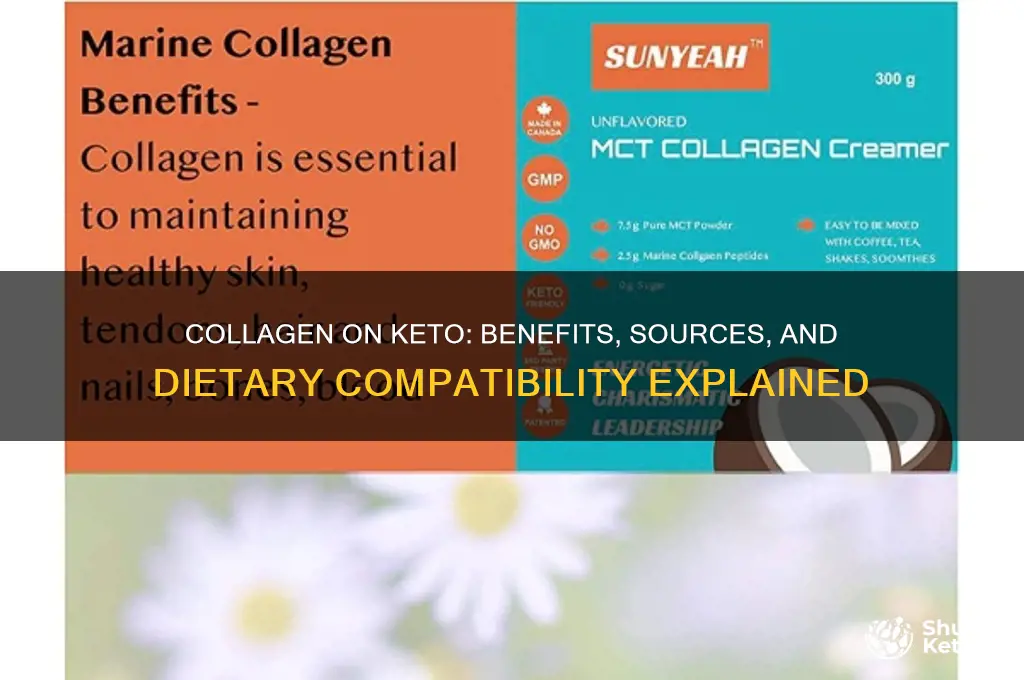 Collagen On Keto: Benefits, Sources, And Dietary Compatibility ...