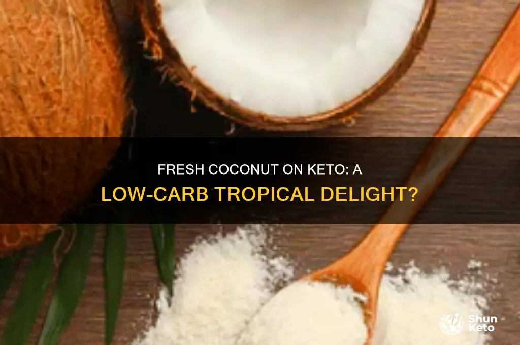 Fresh Coconut On Keto: A Low-Carb Tropical Delight? | ShunKeto