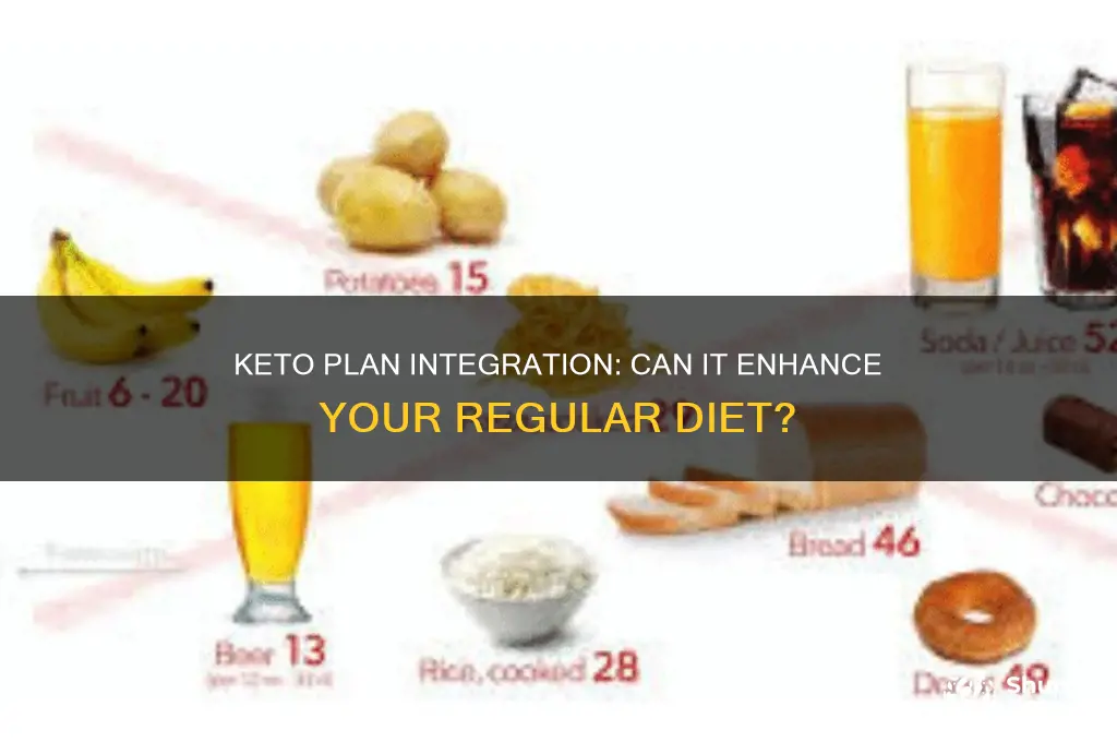 Keto Plan Integration: Can It Enhance Your Regular Diet? | ShunKeto