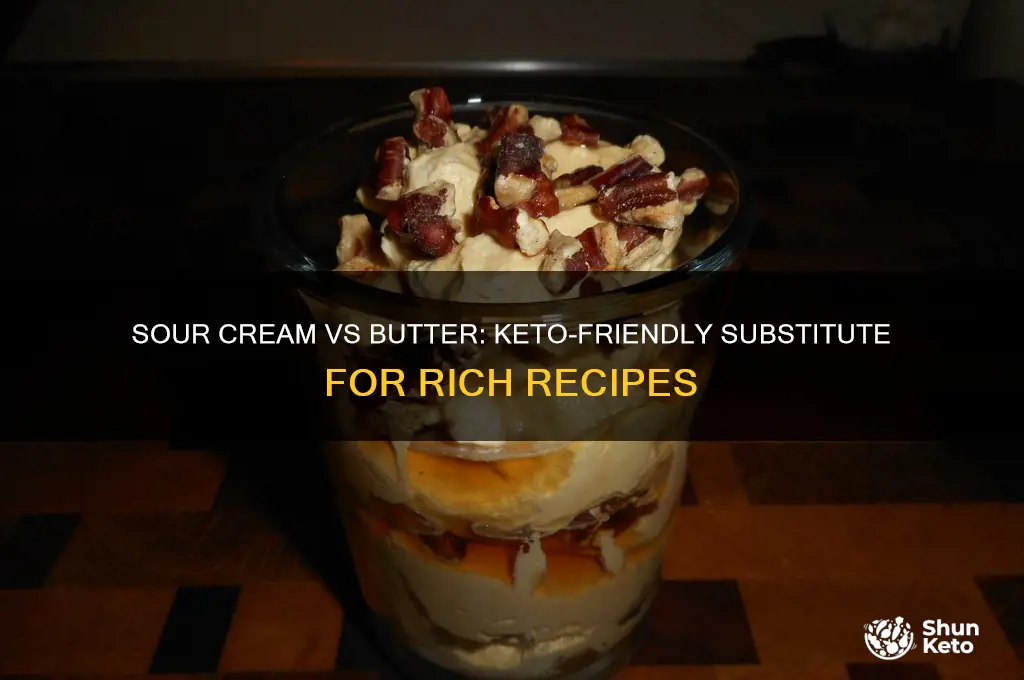 Sour Cream Vs Butter: Keto-Friendly Substitute For Rich Recipes | ShunKeto