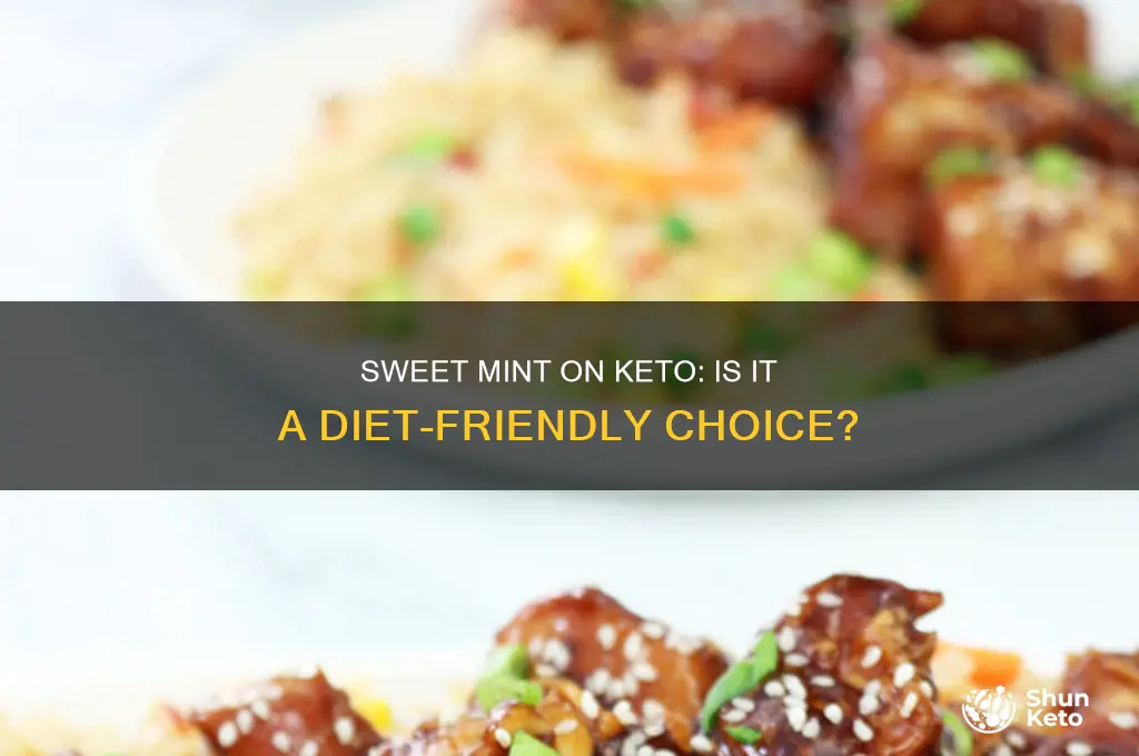 Sweet Mint On Keto: Is It A Diet-Friendly Choice? | ShunKeto