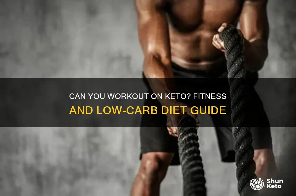 Can You Workout On Keto? Fitness And Low-Carb Diet Guide | ShunKeto