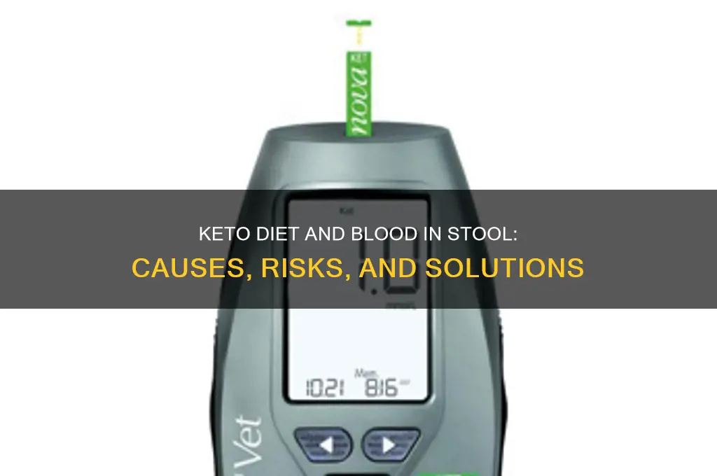 Keto Diet And Blood In Stool: Causes, Risks, And Solutions | ShunKeto