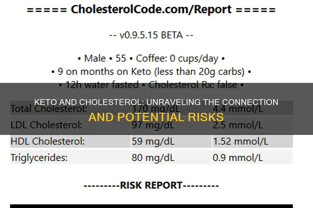 Keto And Cholesterol: Unraveling The Connection And Potential Risks ...
