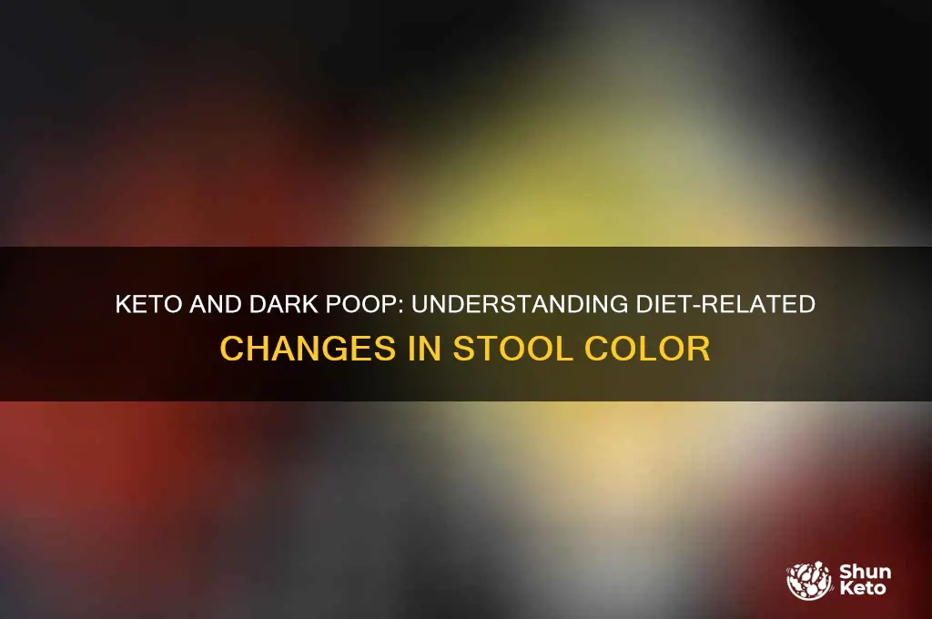Keto And Dark Poop: Understanding Diet-Related Changes In Stool Color ...