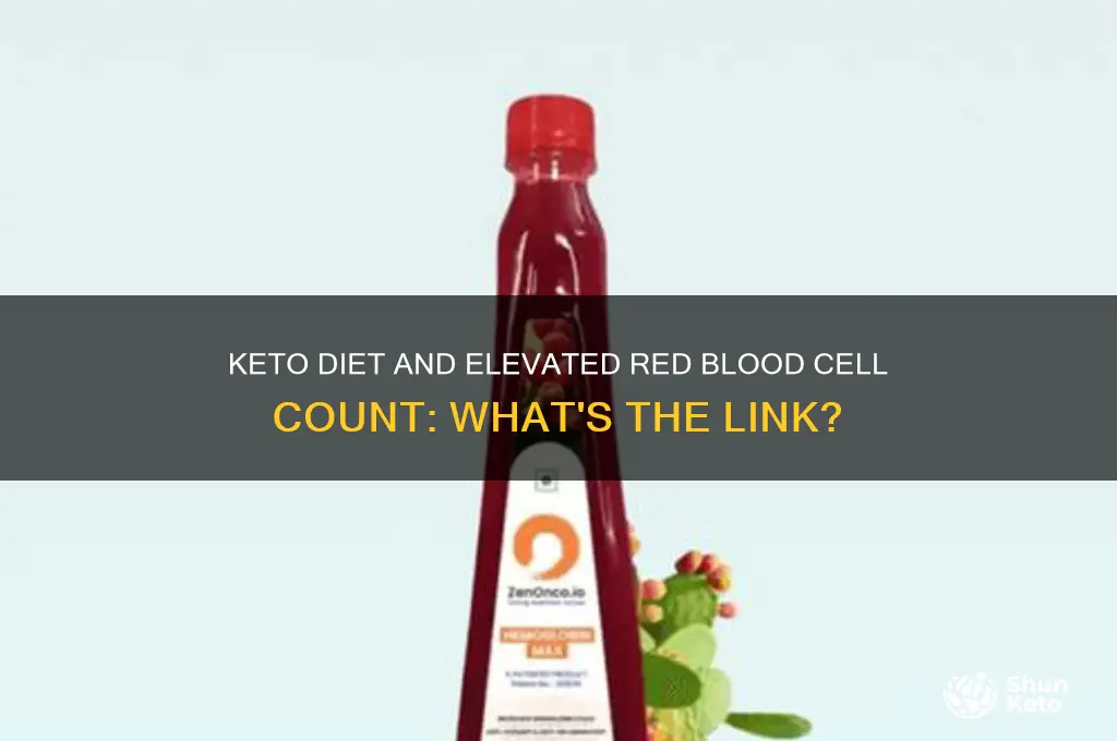 Keto Diet And Elevated Red Blood Cell Count: What's The Link? | ShunKeto