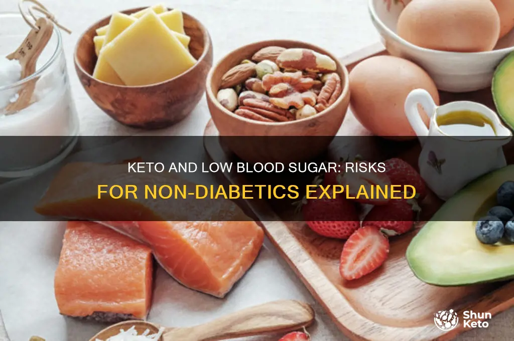 Keto And Low Blood Sugar: Risks For Non-Diabetics Explained | ShunKeto