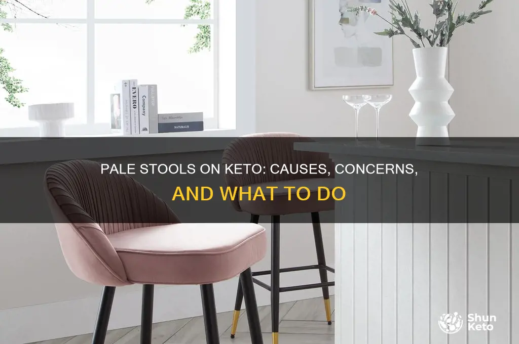 Pale Stools On Keto: Causes, Concerns, And What To Do | ShunKeto