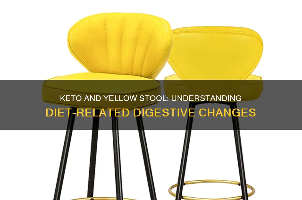 Keto And Yellow Stool: Understanding Diet-Related Digestive Changes ...
