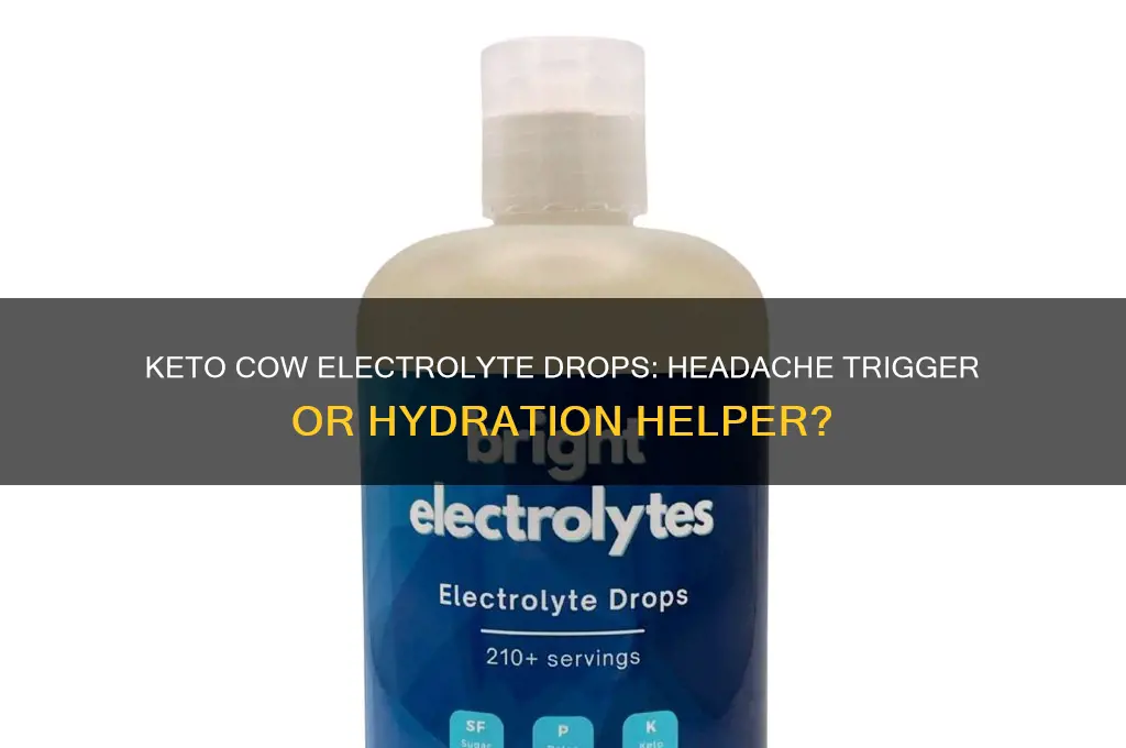 Keto Cow Electrolyte Drops: Headache Trigger Or Hydration Helper ...