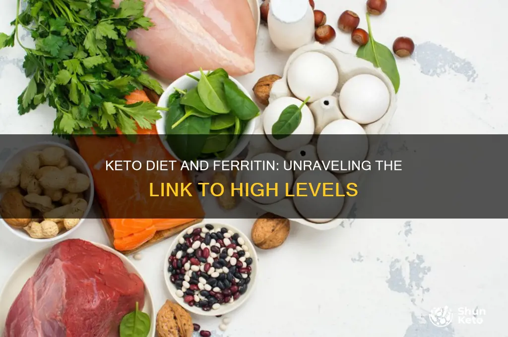 Keto Diet And Ferritin: Unraveling The Link To High Levels | ShunKeto