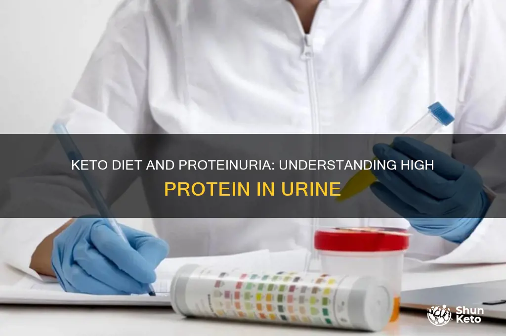 Keto Diet And Proteinuria: Understanding High Protein In Urine | ShunKeto