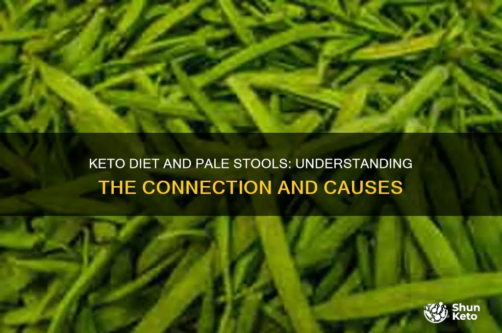 Keto Diet And Pale Stools: Understanding The Connection And Causes ...