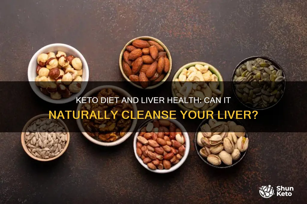 Keto Diet And Liver Health: Can It Naturally Cleanse Your Liver? | ShunKeto