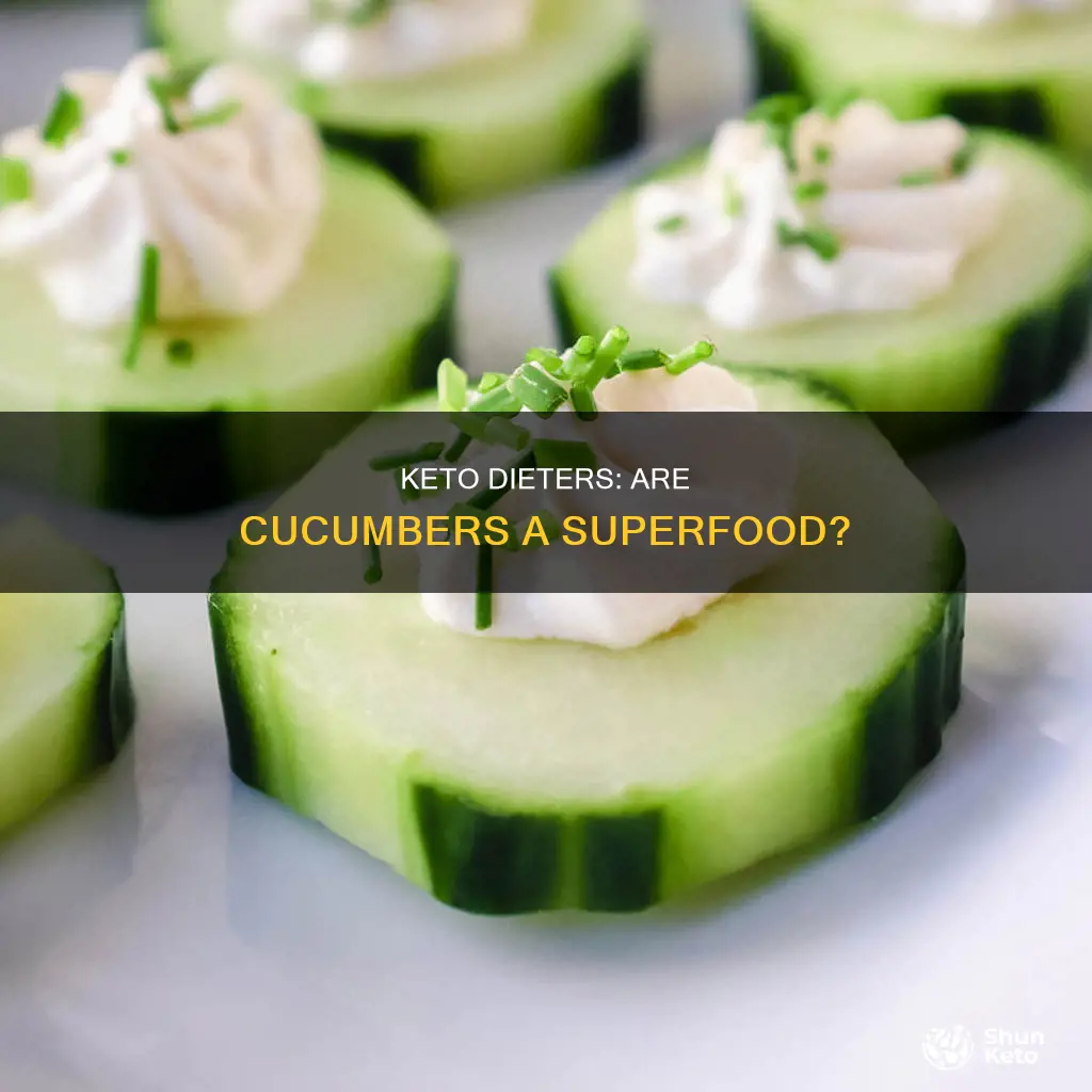 Keto Dieters: Are Cucumbers A Superfood? | ShunKeto