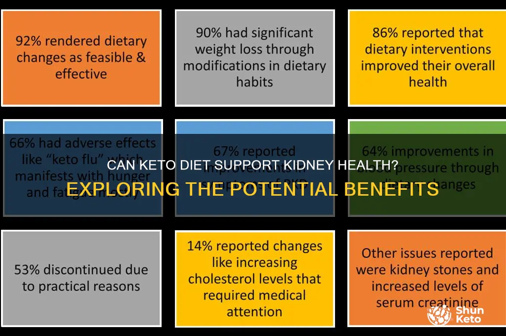 Can Keto Diet Support Kidney Health? Exploring The Potential Benefits ...