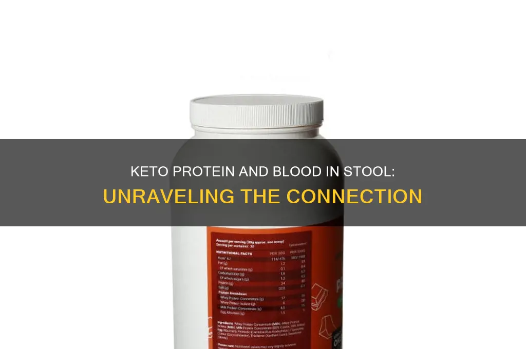 Keto Protein And Blood In Stool: Unraveling The Connection | ShunKeto